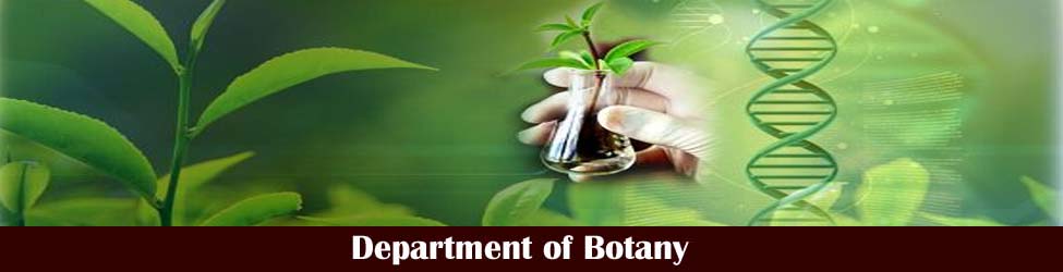 GDC,Koduru| Yogi Vemana University